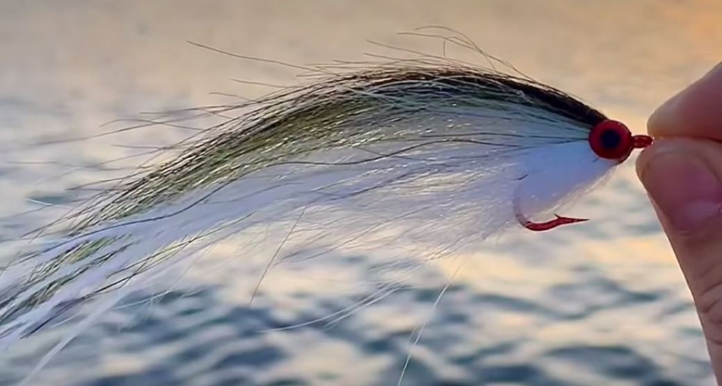 Medium Bait Fish – Squimpish Flies